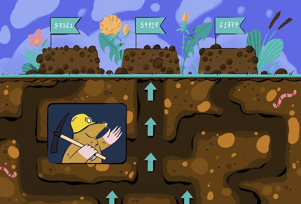 How To Use Mullvad for Torrenting | Is It Safe? [2022 Guide]