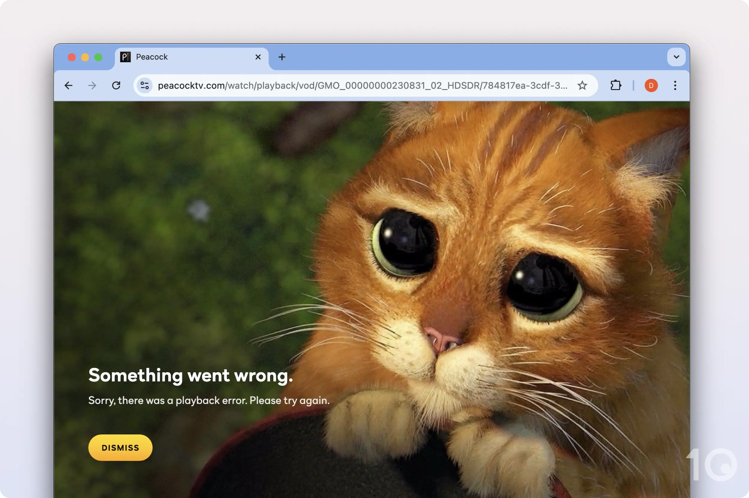 The Best Free & Paid VPNs That Unblock Peacock TV